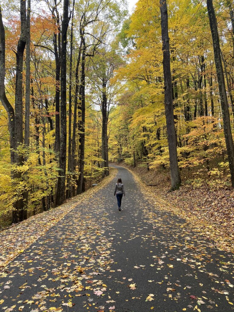 Fall In New River Gorge National Park - Your Getaway Guide - Compass ...